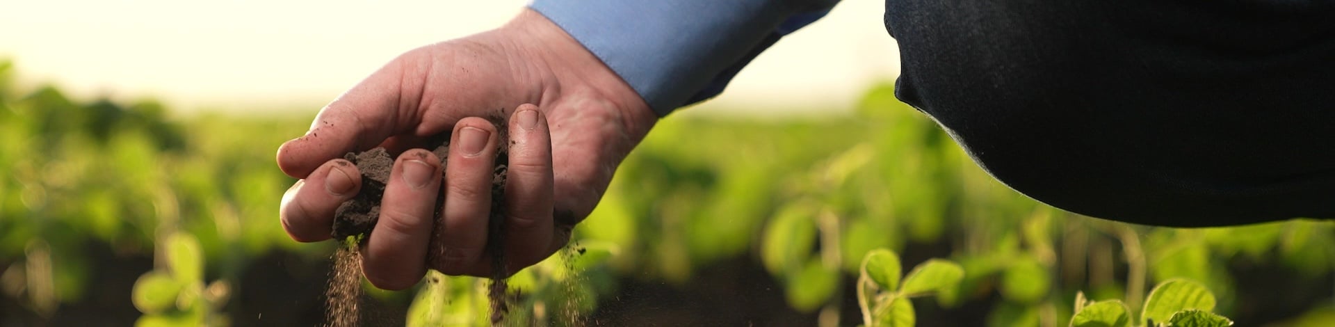 Perspectives on Agribusiness and Leadership with ICL’s Dan Bihlmeyer | ICL CA