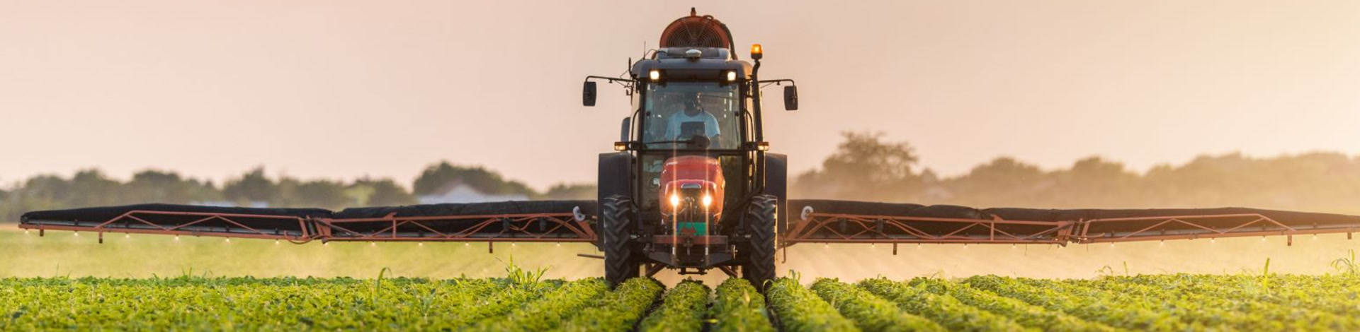 Biostimulants: Revolutionizing Modern Agriculture | ICL US