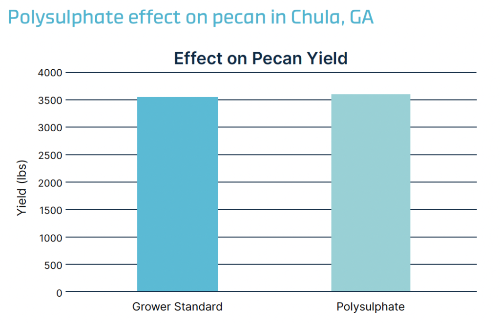 Polysulphate on Pecans | ICL US
