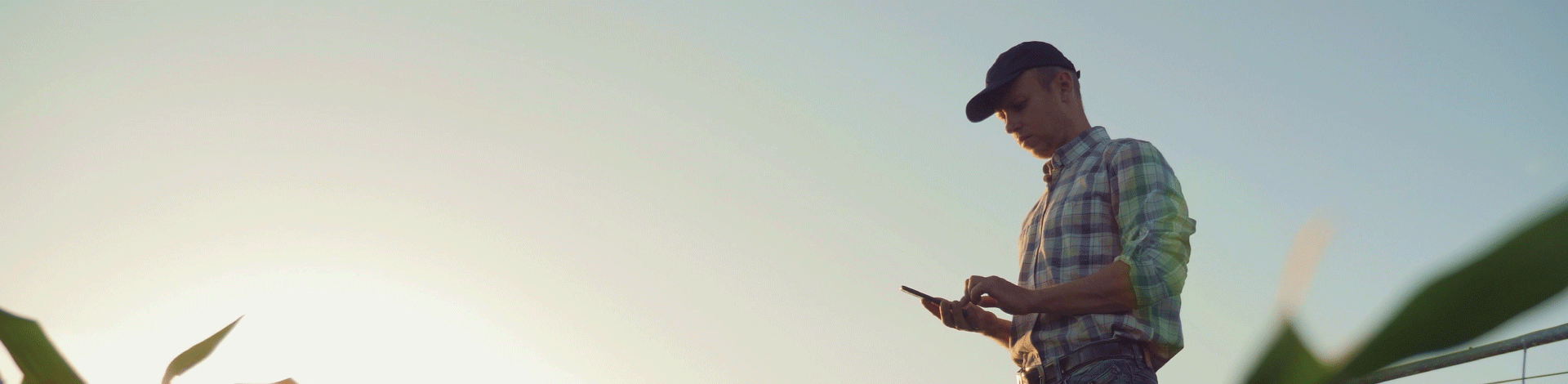 4 Essential Characteristics of Successful Climate-Smart Growers | ICL US