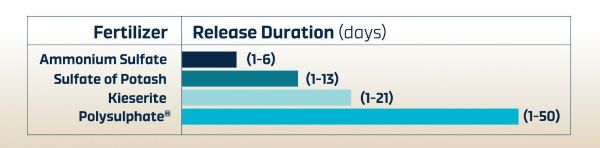 7 Reasons Polysulphate® Is the Perfect Sulfur Fertilizer for Fall | ICL US