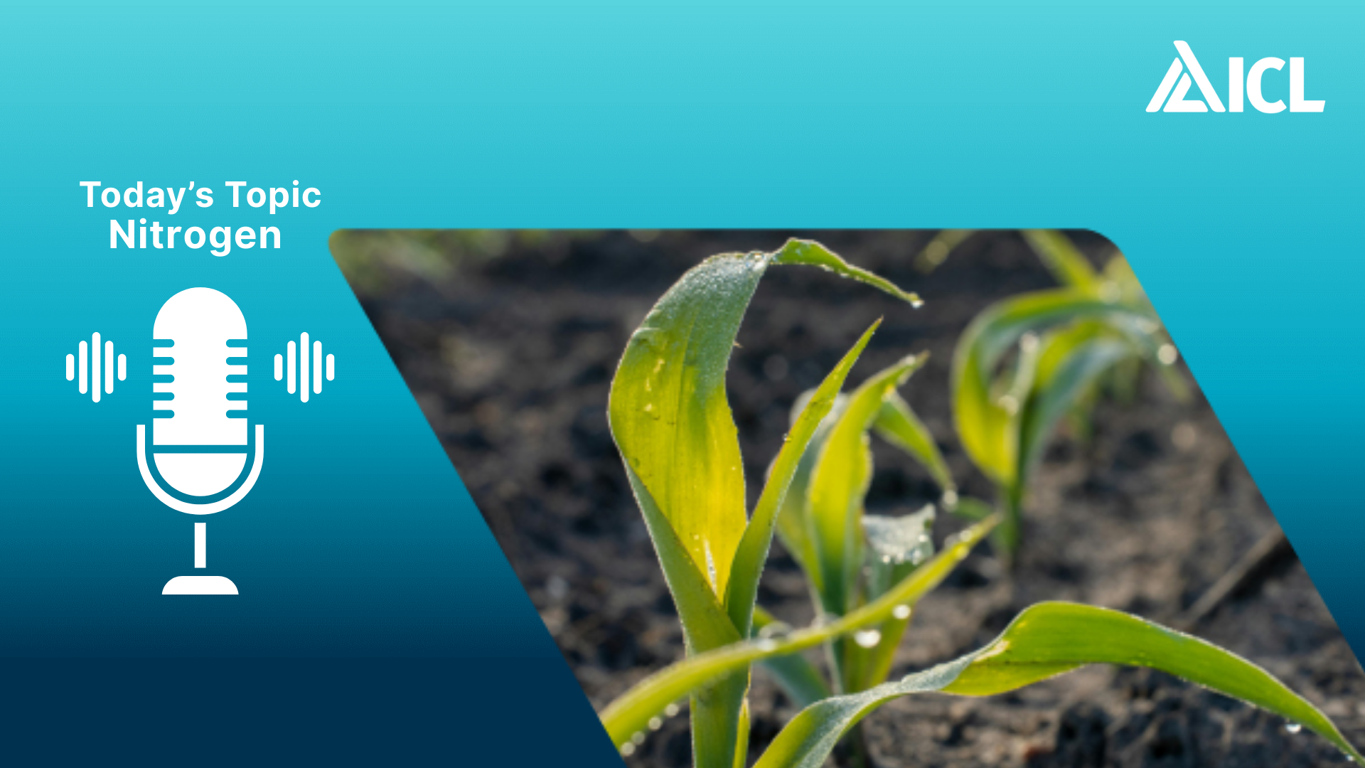 The Bottom Line Podcast | Nitrate Assimilation | ICL US