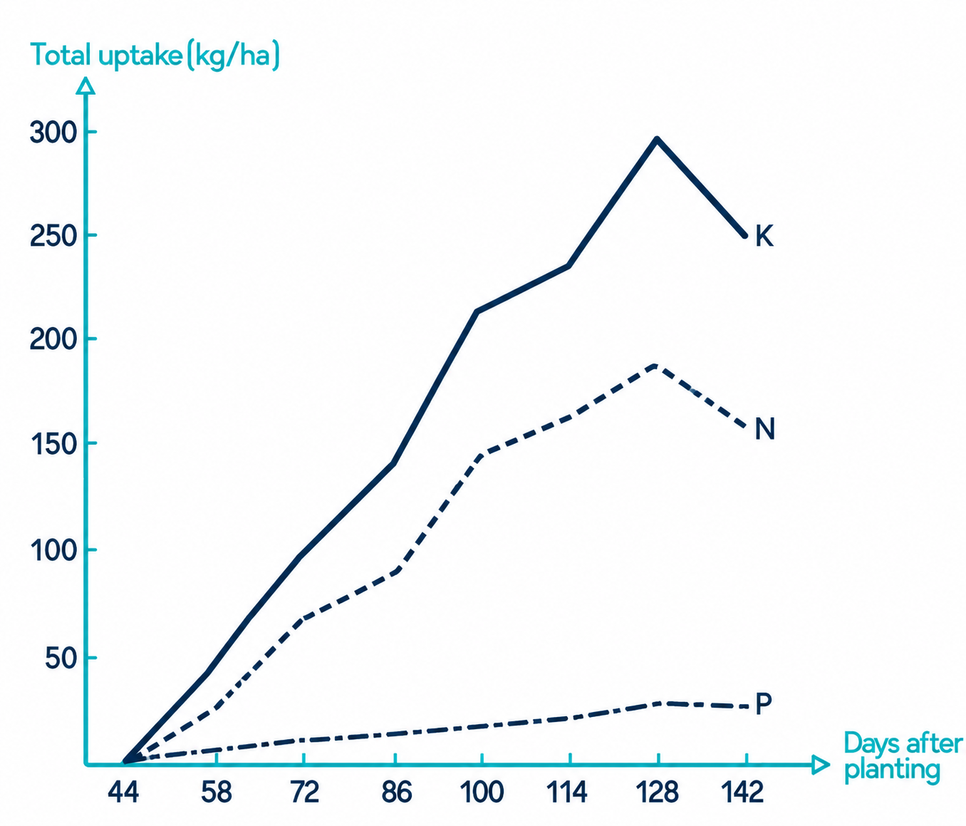 Potassium Management in Potatoes: Season-Long K for Higher Yields | ICL US
