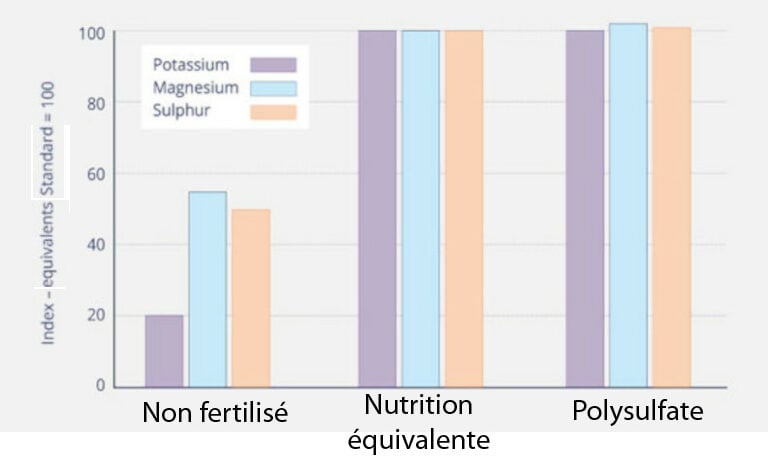 Polyhalite : un composant naturel exclusif dans les engrais pour gazon ...