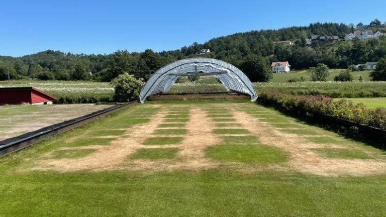 Un essai indépendant sur fairway met en lumière H2Pro TriSmart et ...