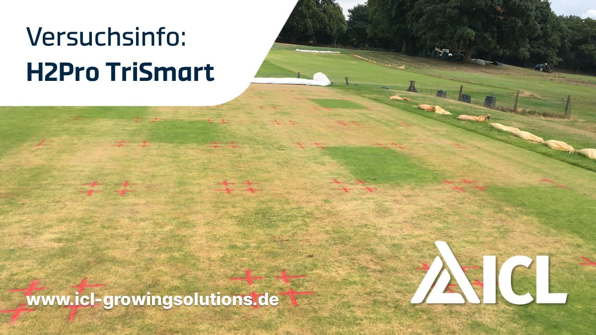 H2Pro TriSmart wirkt als nicht-mikrobielles Biostimulans | ICL Deutschland