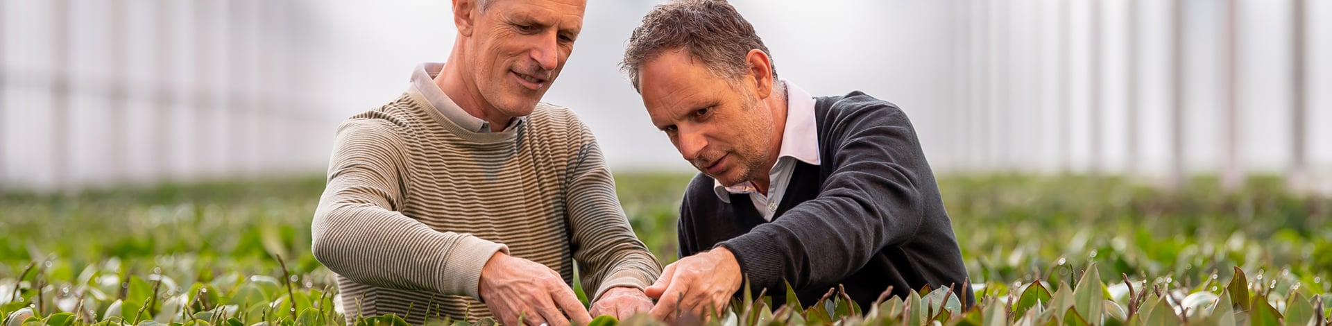 Eligazodás egy változó világban | ICL Magyarország