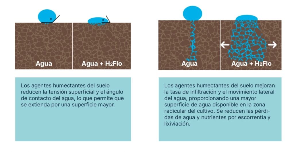 Problemas en Agricultura: Suelos Hidrófobos | ICL España