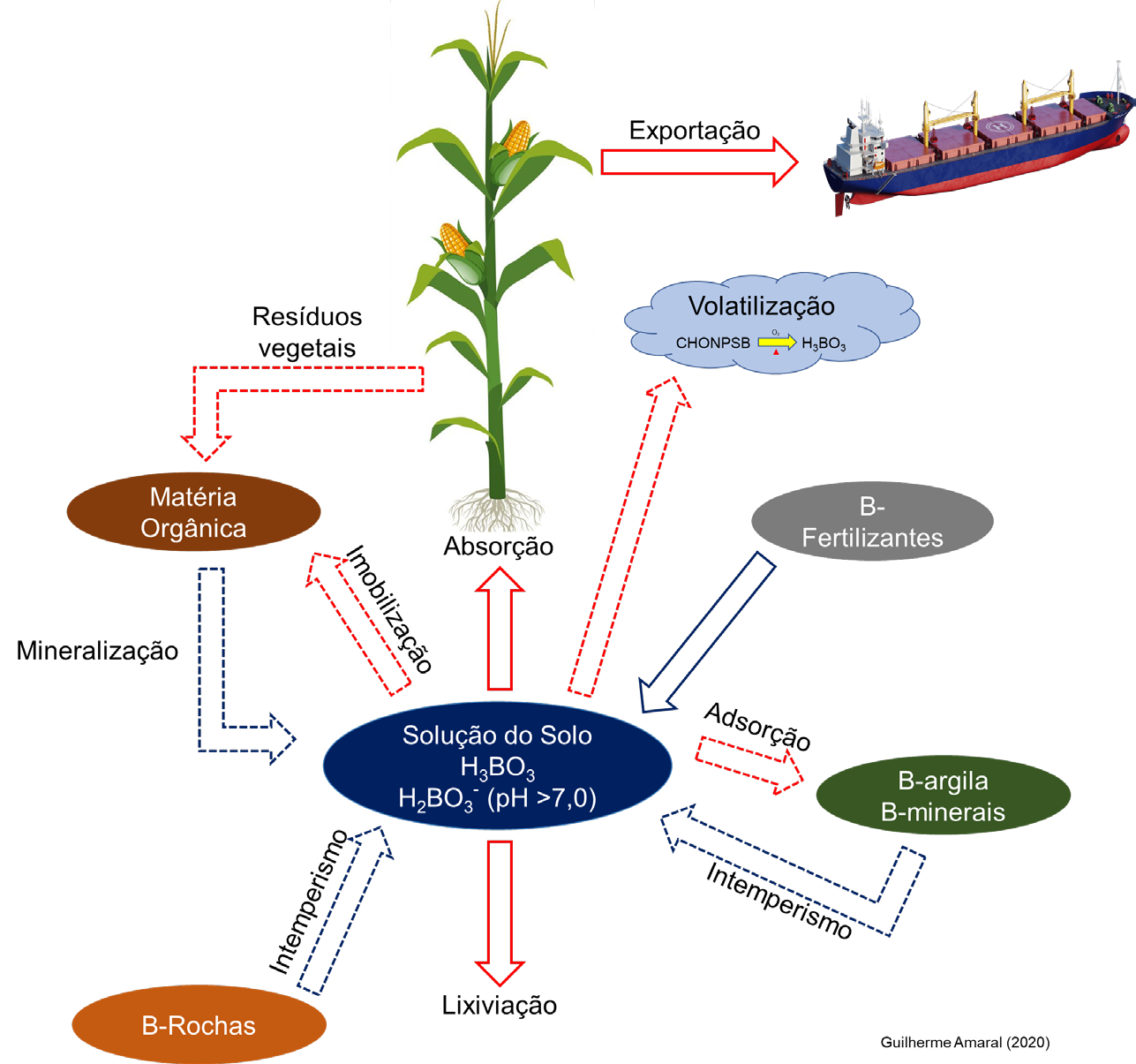 Boro para aplicação via solo - Brazil