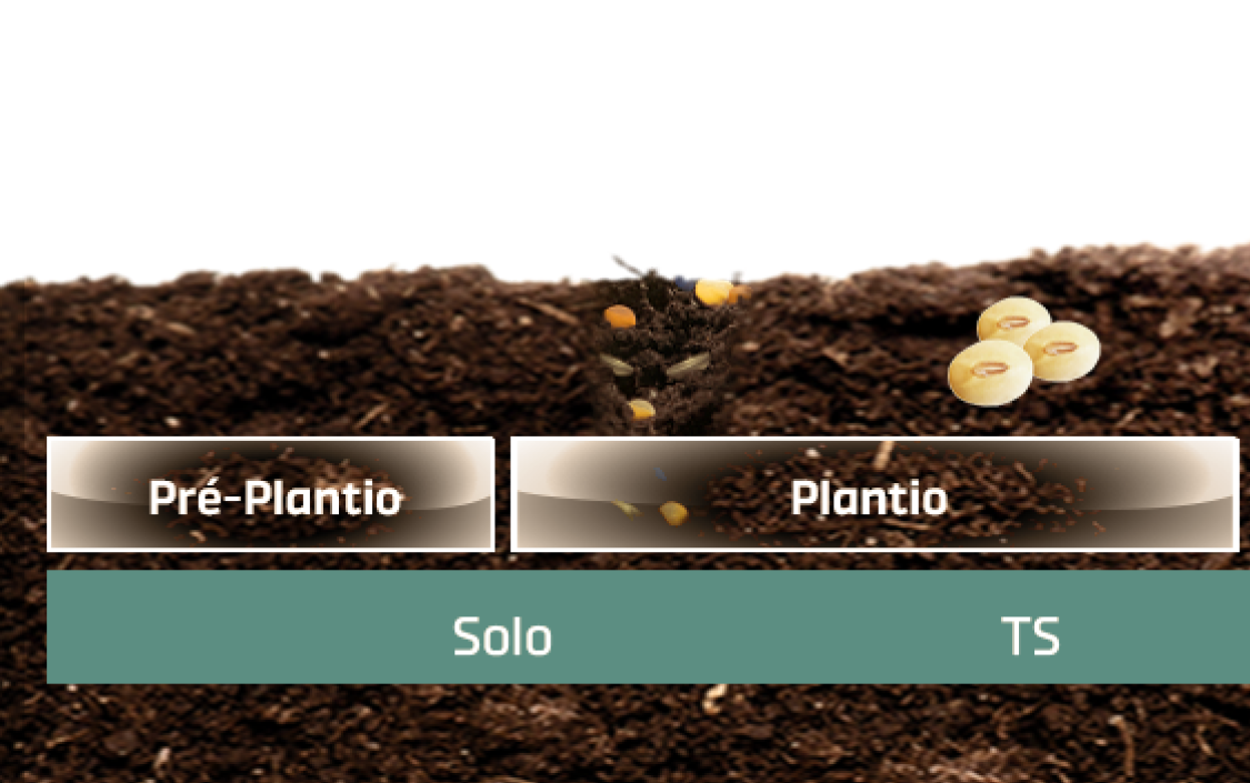 Guia Completo para o Ciclo da Soja | Fases Fenologicas e Ciclos | ICL ...
