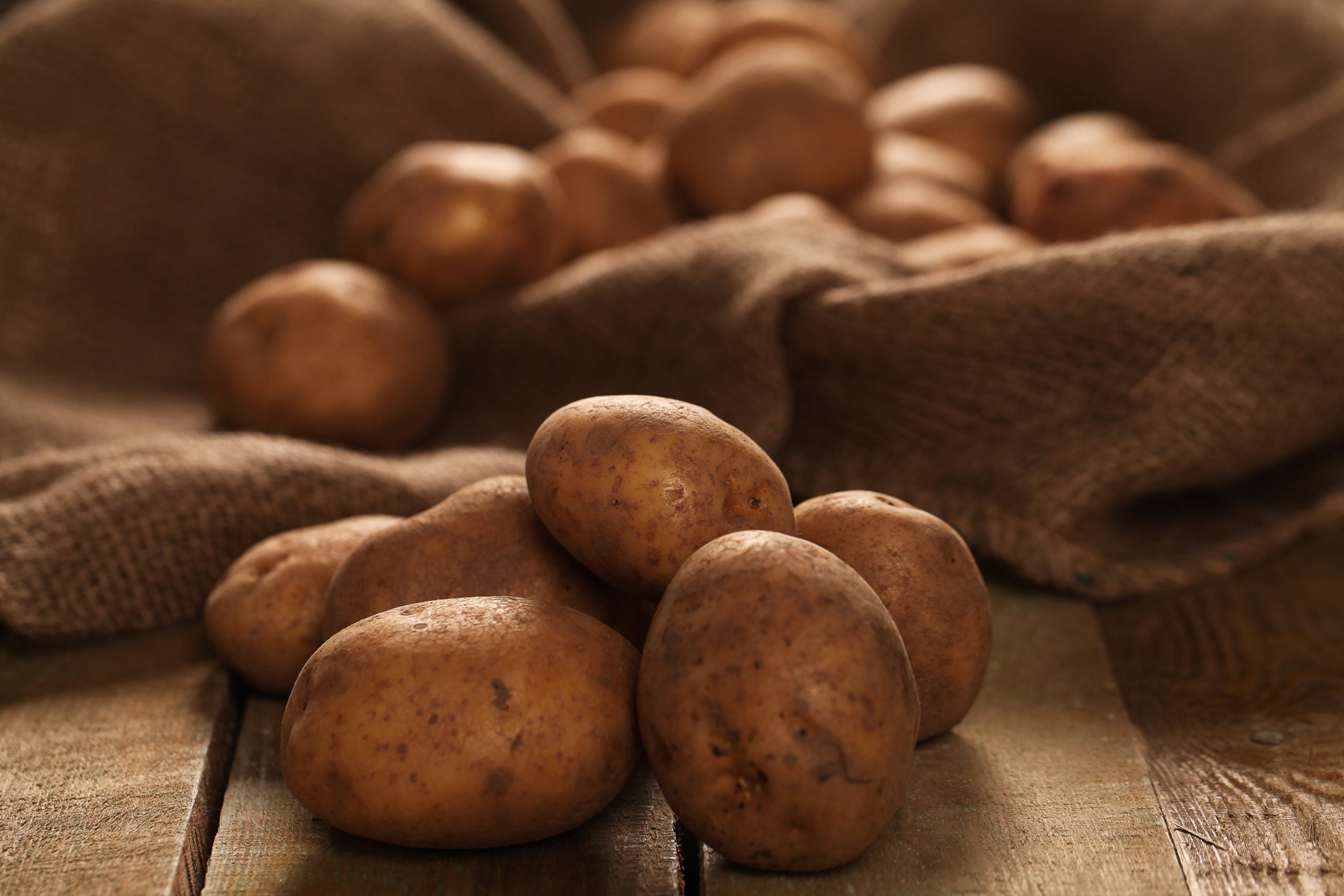 Fertilizantes para batata: Entenda mais sobre a cultura da batata | ICL ...