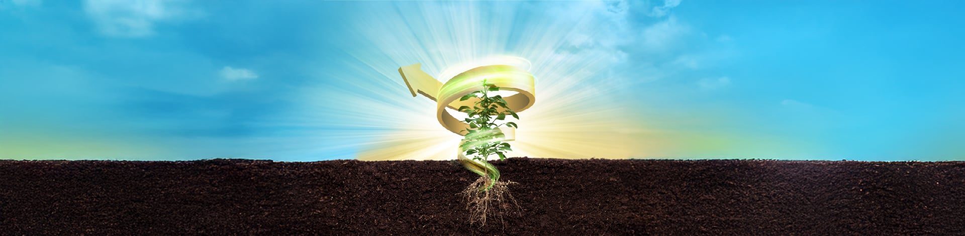 Bioz Tônus | ICL Brazil