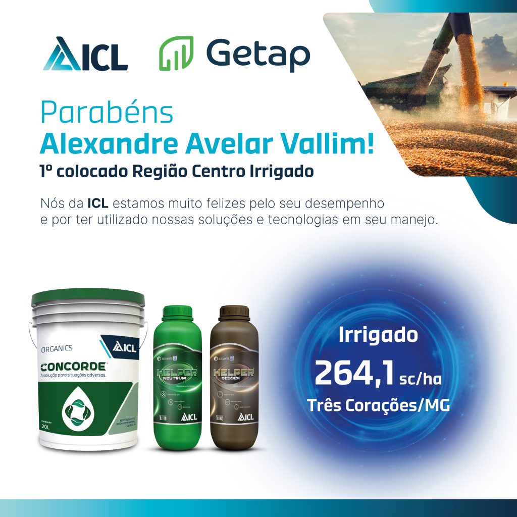 Os Manejos dos campeões GETAP Verão 2025 | ICL Brazil