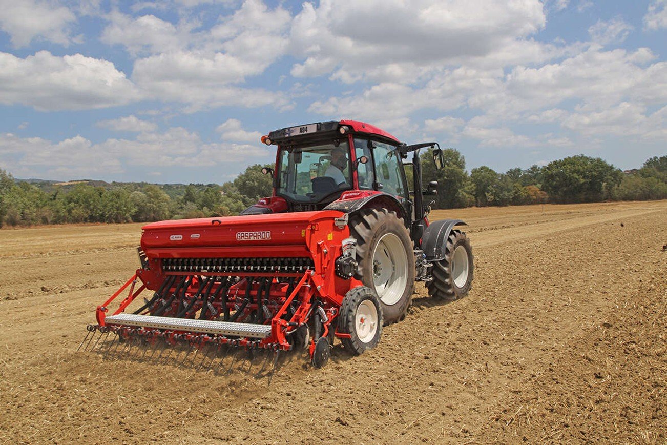 Coltivare il grano: guida per professionisti del settore | ICL Italia