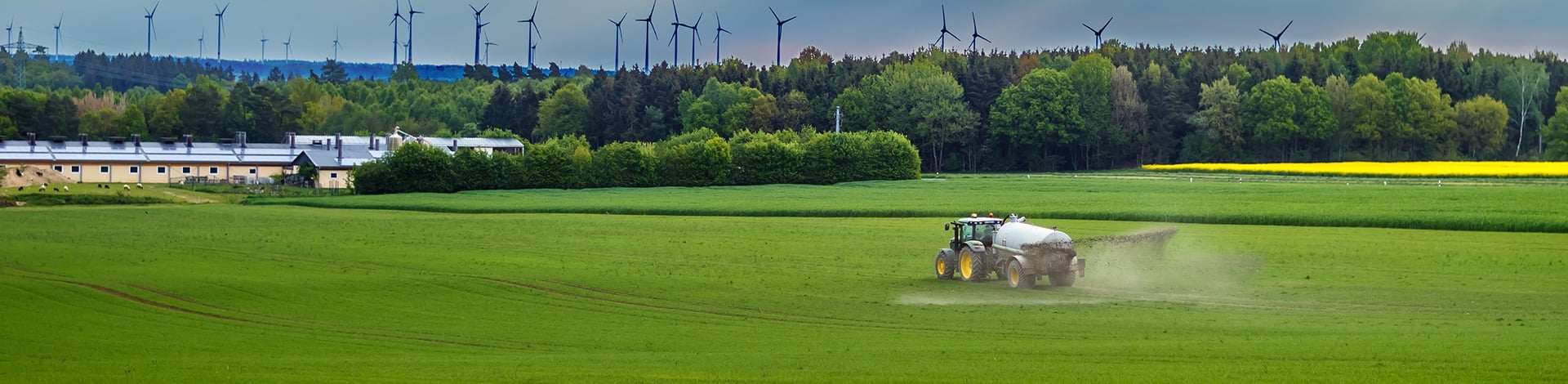 Le tempistiche per la nutrizione fogliare: quando farla | ICL Italia