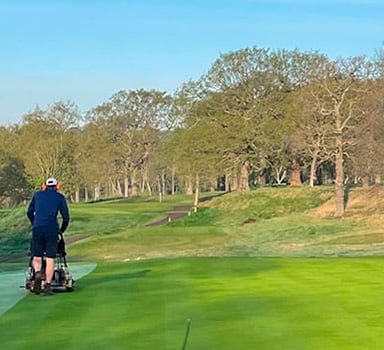 Integrated Turf Management can reduce Dollar Spot on Turf | ICL ANZ