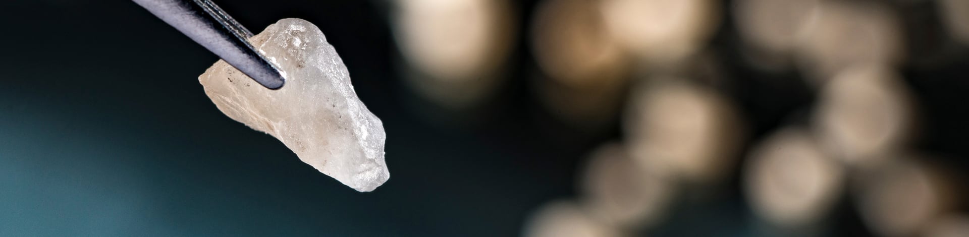 Demonstrating Polysulphate’s Prolonged Nutrient Release | ICL ANZ