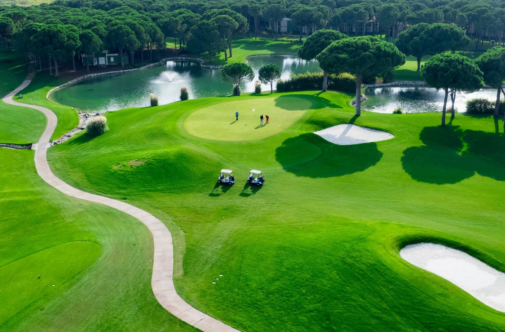 ICL ANZ: Growing Solutions for Crops, Plants & Turf Grass