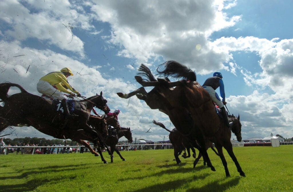 Turf & Landscape Fertilizers and Solutions | ICL ANZ