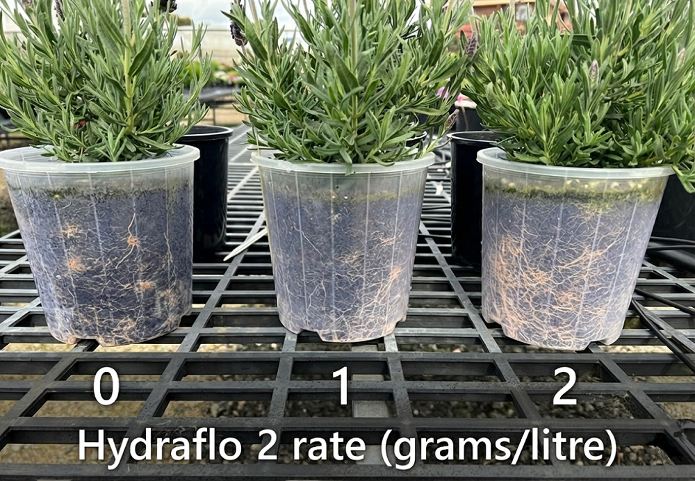 The Secret Life of Potting Mix | ICL ANZ