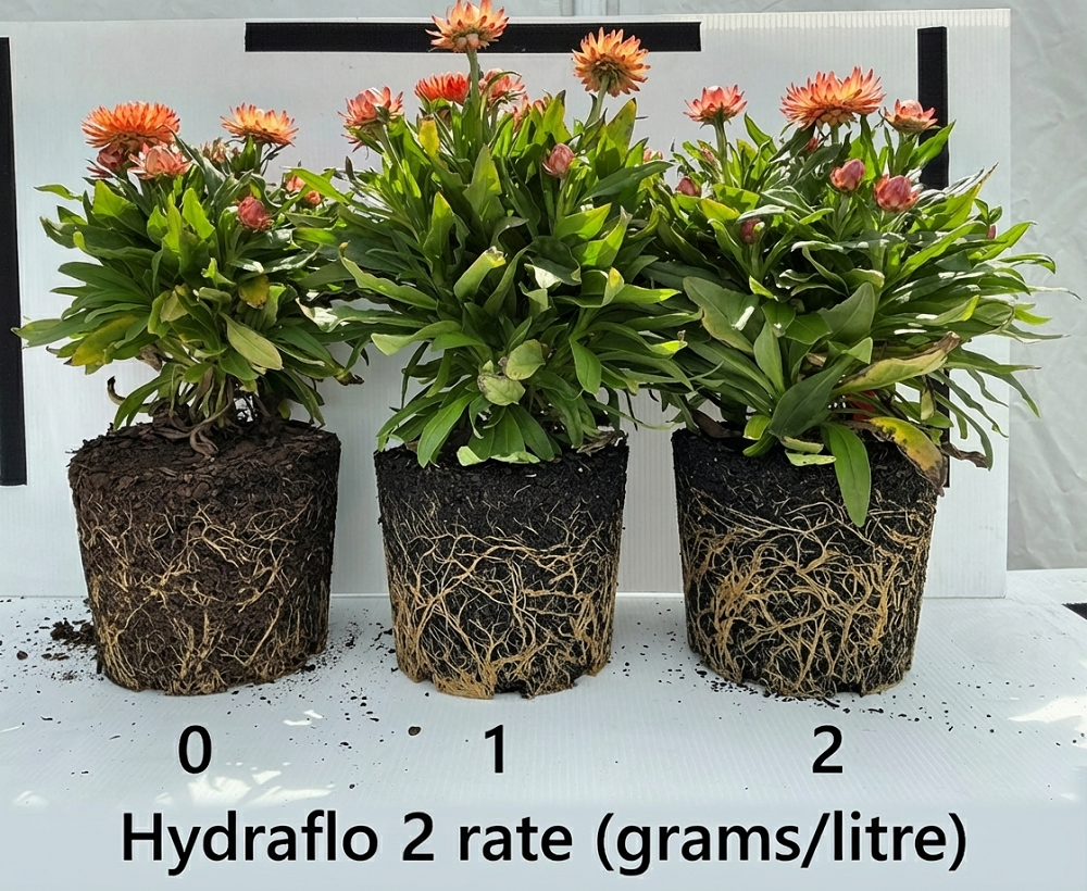 The Secret Life of Potting Mix | ICL ANZ