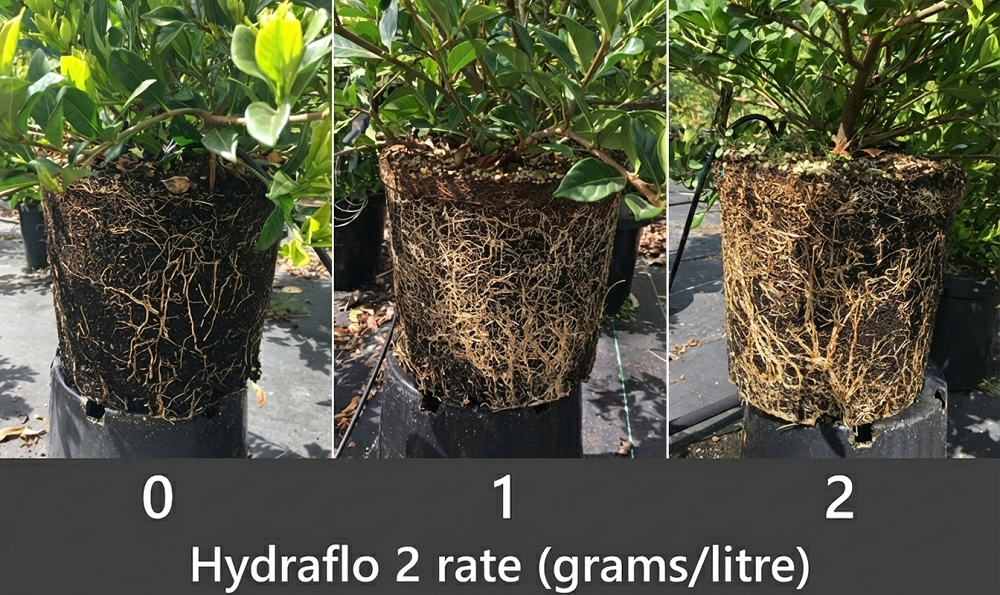 The Secret Life of Potting Mix | ICL ANZ