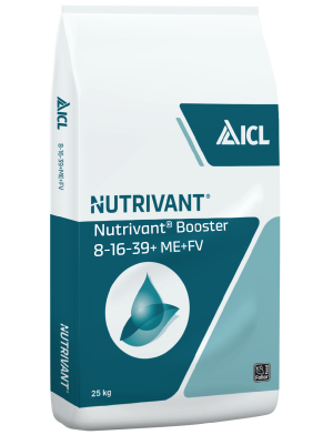 Fertilizantes para Nopal – Nutrición del cultivo | ICL MX