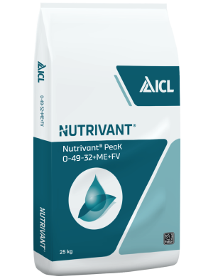 Fertilizante Foliar NutriVant® PeaK 0-49-32 | ICL México