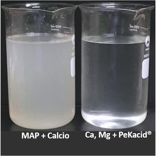 Uso de los Fertilizantes Acidificantes | ICL MX