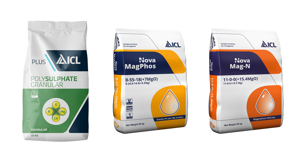 Deficiencia de Magnesio en plantas y cultivos | ICL MX