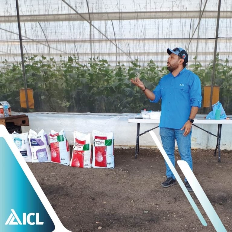 Programa de fertilización | ICL MX