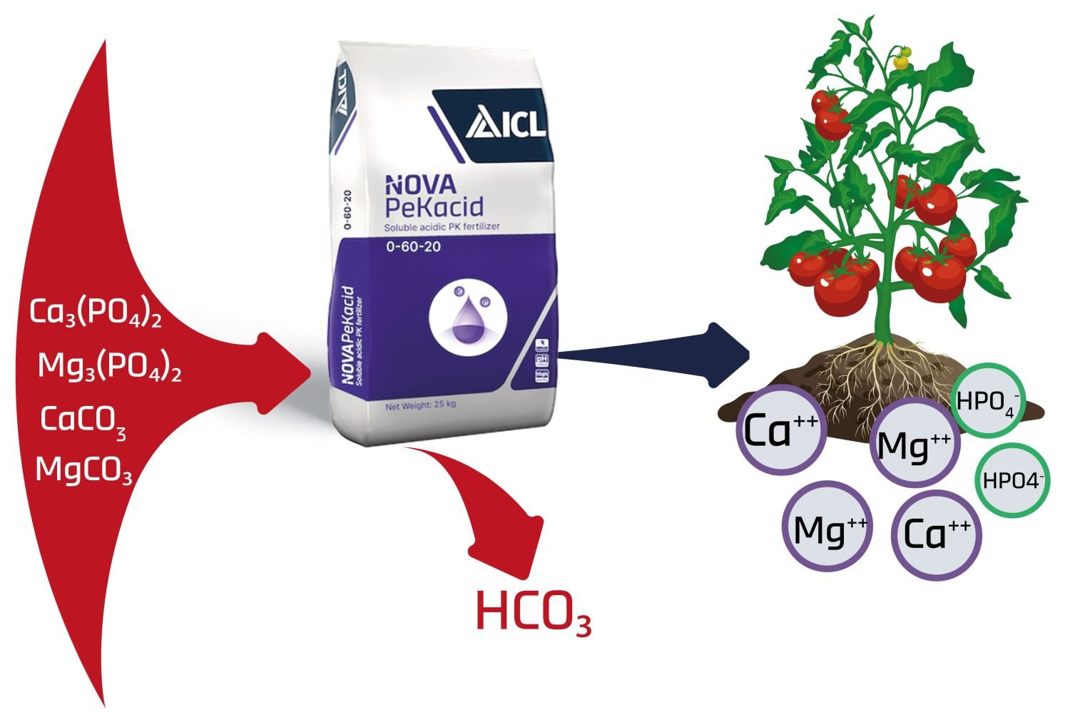Carbonatos y Bicarbonatos en el Agua de Riego | ICL MX