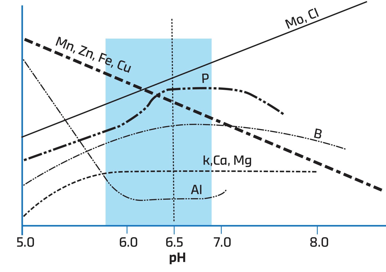 Nutrición para altos rendimientos en Cítricos | ICL MX