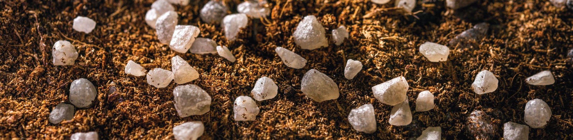 Polysulphate: el fertilizante 4-en-1 | ICL MX