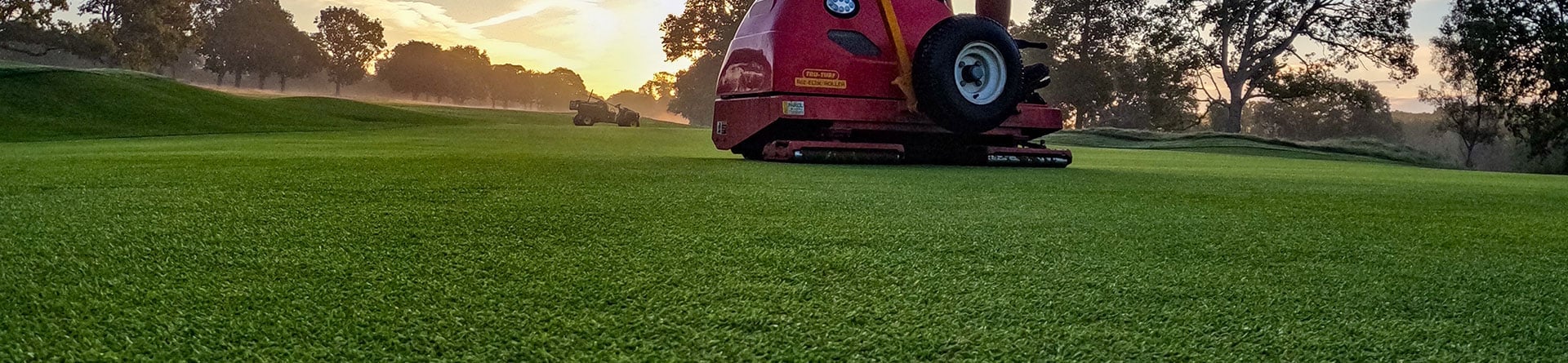 Microdochium patch in turf | ICL IE