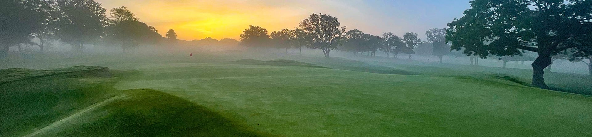 Effective Fungicide Programme for Managing Microdochium Patch | ICL IE