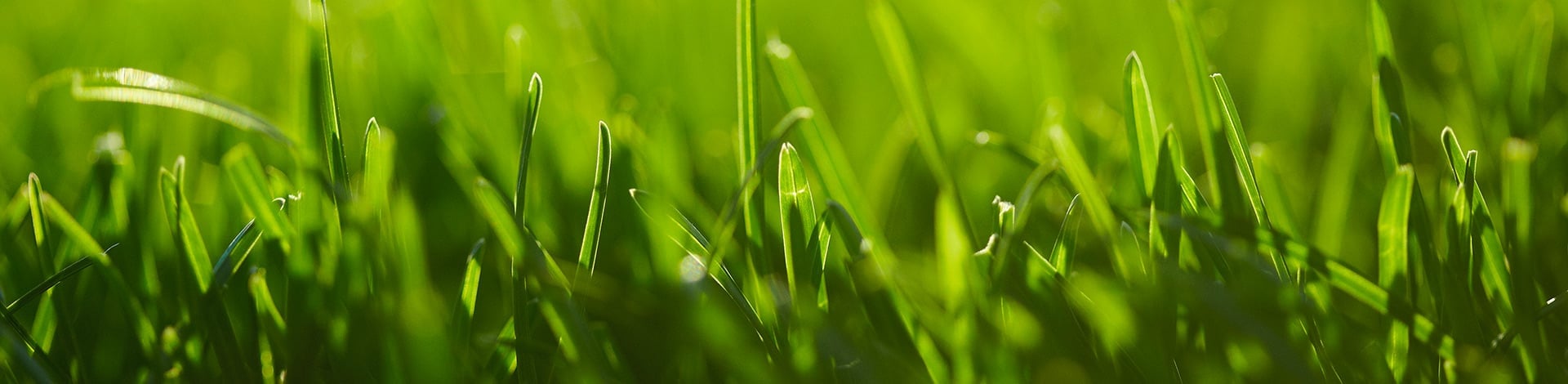 Optimising Water Management with H2Pro TriSmart | ICL IE