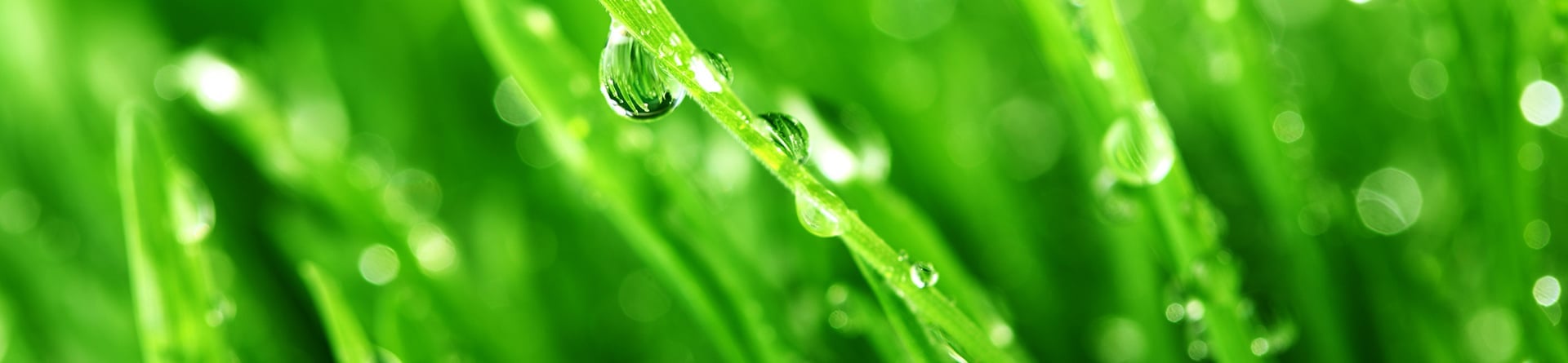 H2Pro TriSmart at Goswick Links: Consistent Water Management with ...