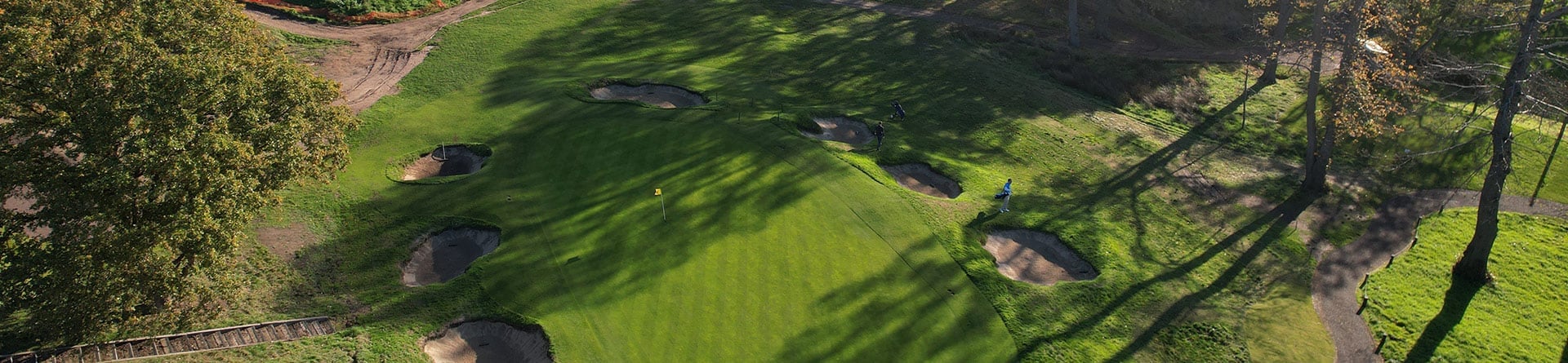 Understanding DLI: The Key Light Measurement for Turf Health | ICL IE