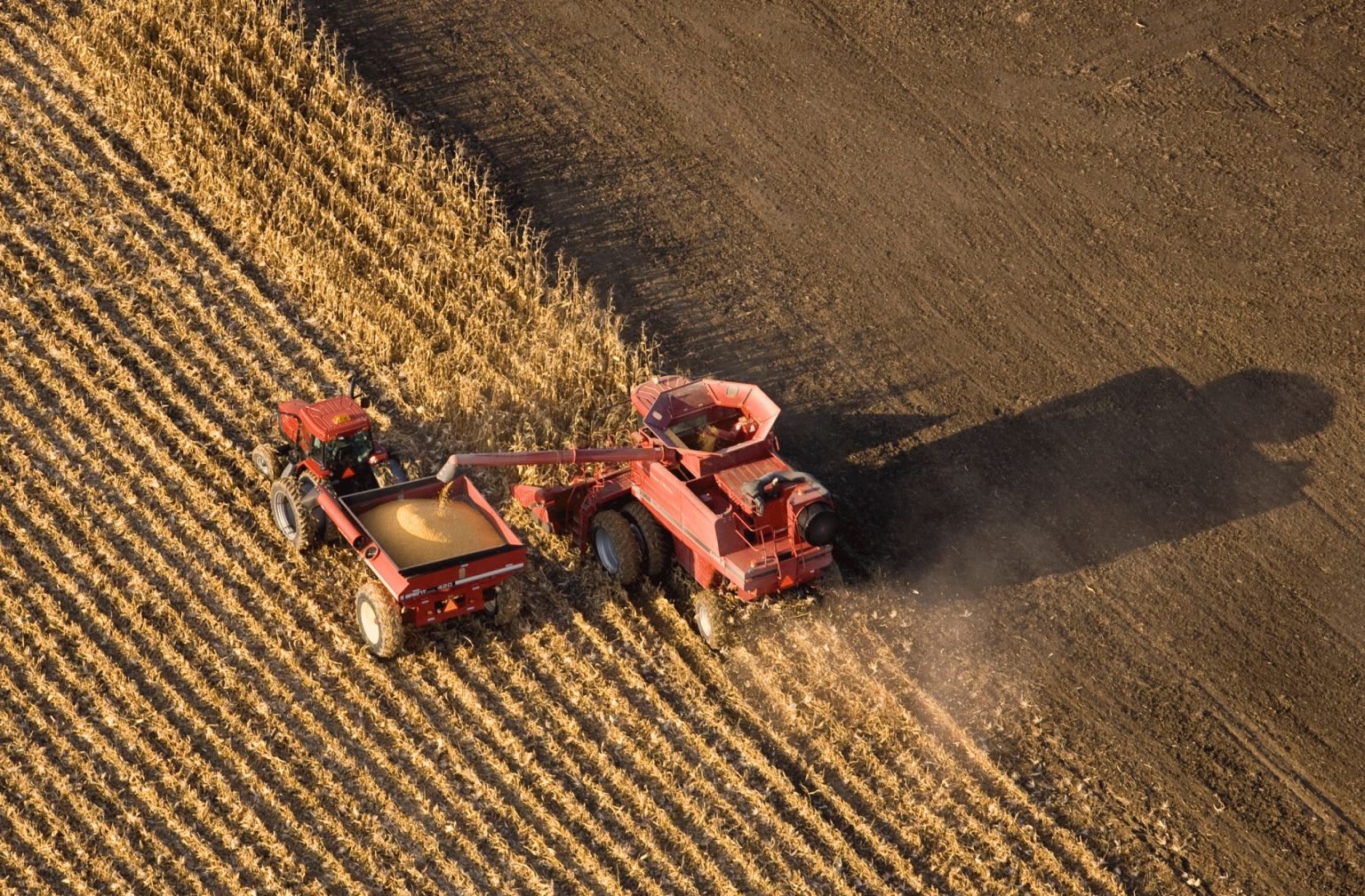 Growing Solutions for a Sustainable Future | ICL CA