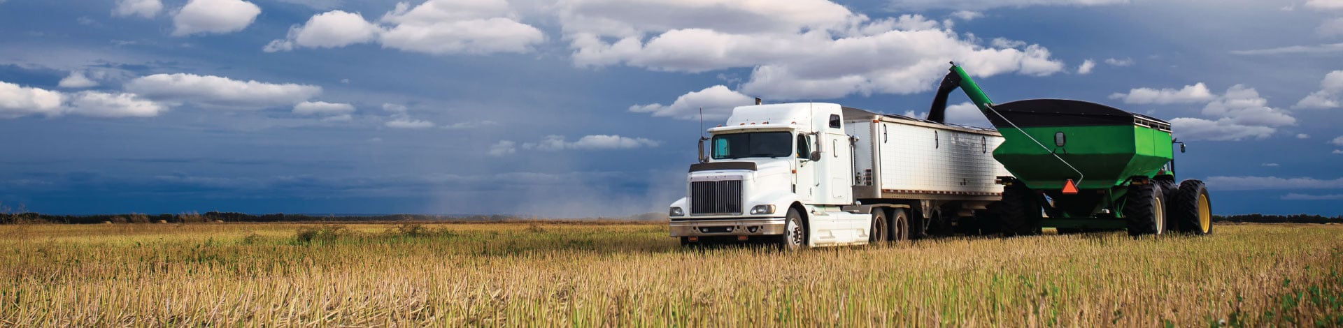 9 Reasons to Choose Polysulphate® for Fall-Applied Sulphur in Canola ...