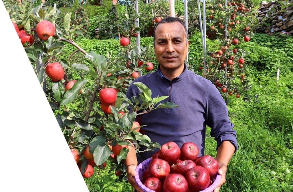 ICL India: Growing Solutions for Crops