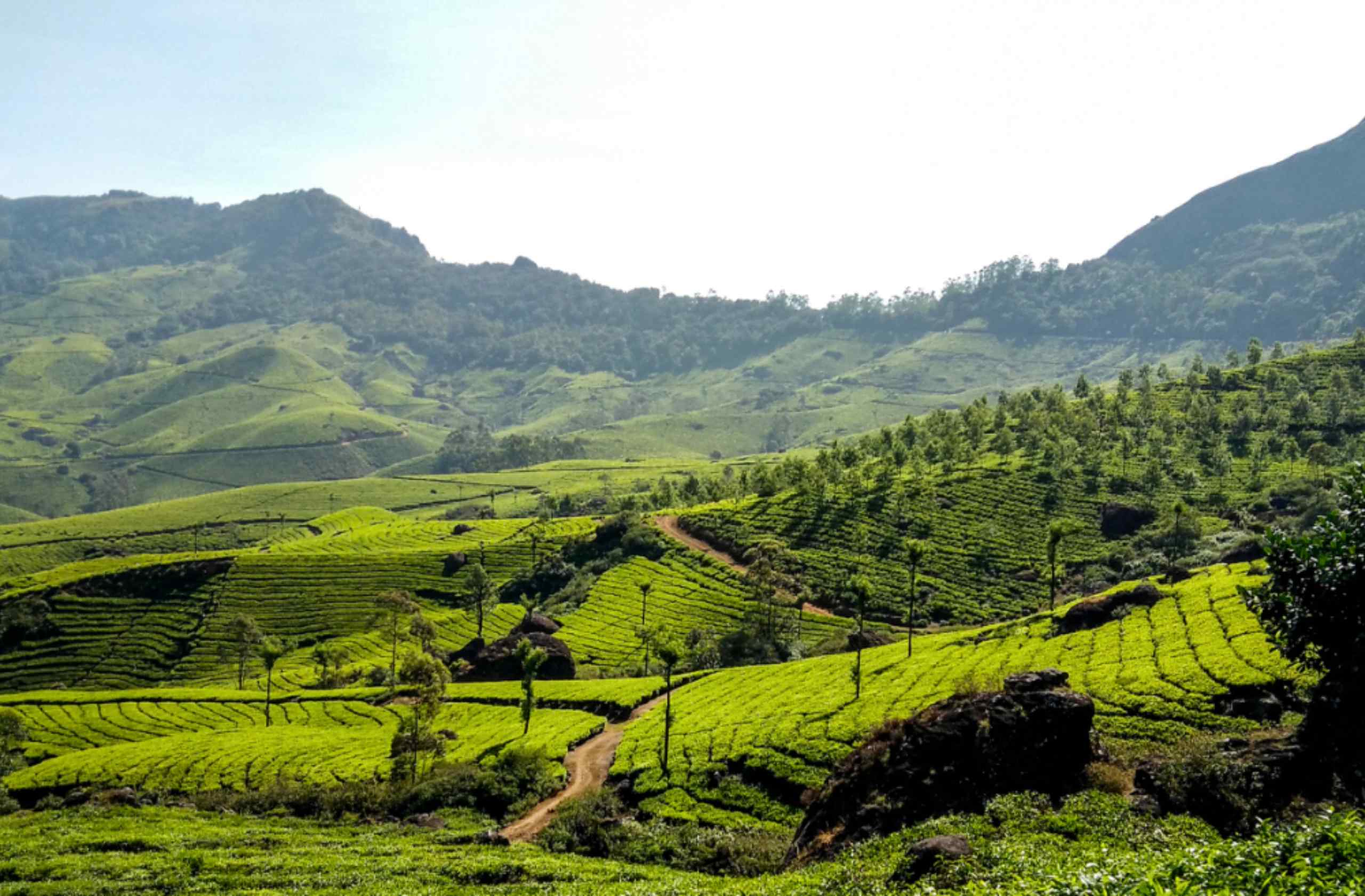 Agriculture - Fertilisers and Solutions | ICL india