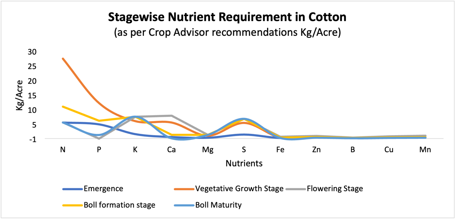 Cotton Cultivation - Fertilizers and Crop Nutrition Guide | ICL India