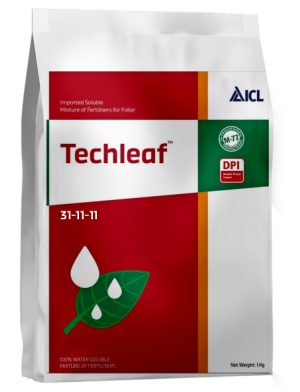 Techleaf | ICL India