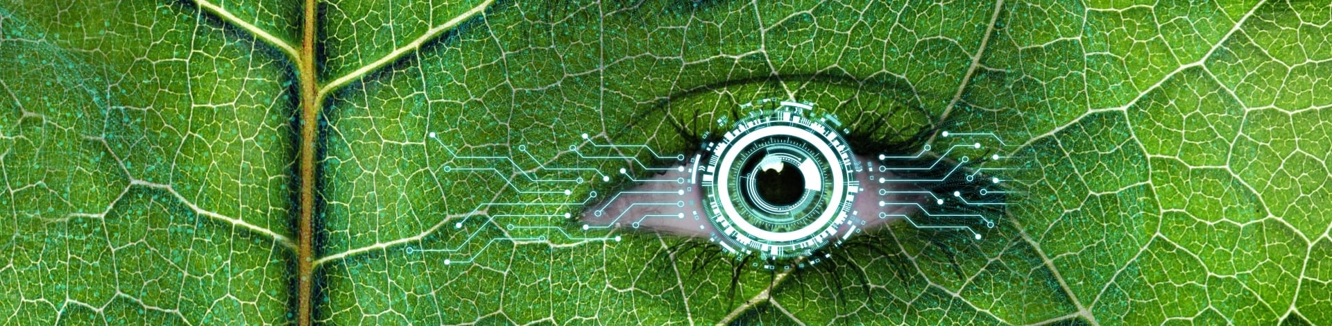 ICLeaf - Advanced Leaf Scanning Technology for Crop Nutrition